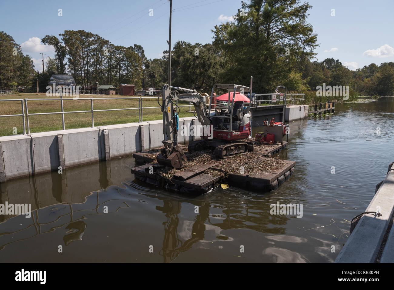 After Hurricane Irma, Tree Cleanup crew locking through the Burrell ...
