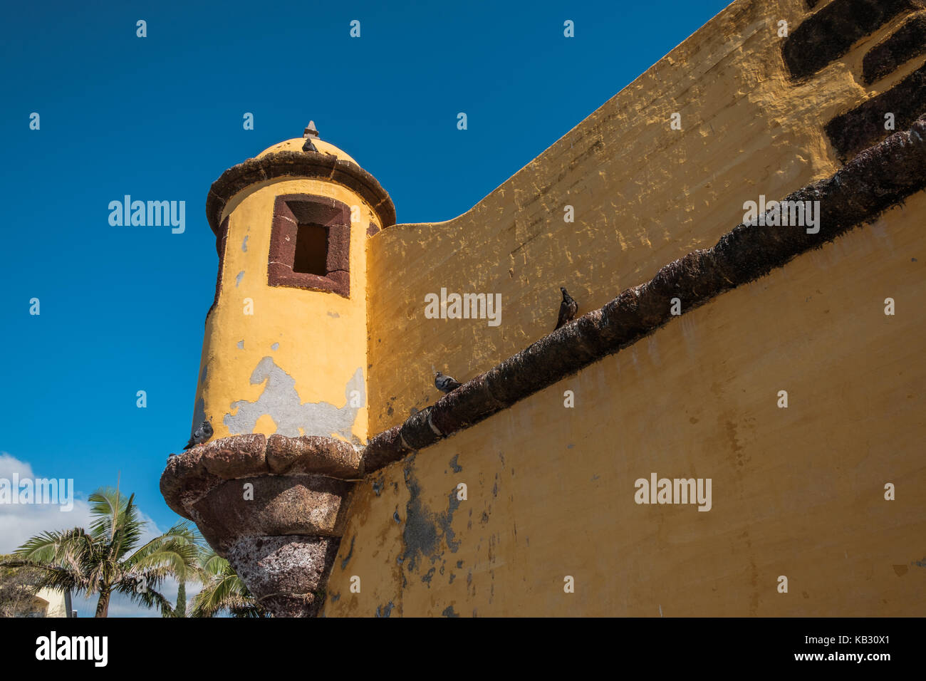 Santiago Fort, Madeira Island Stock Photo - Alamy