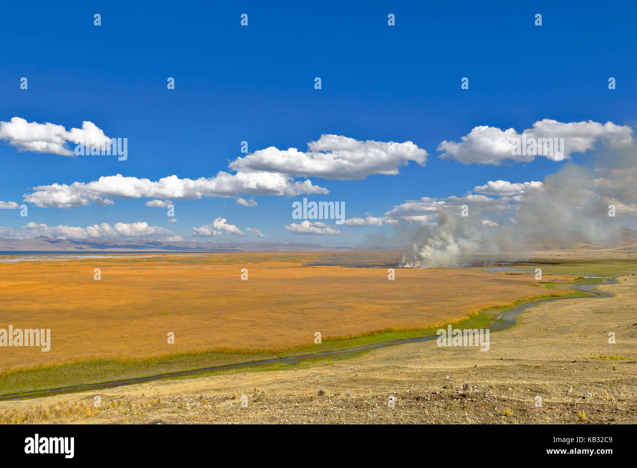 Fire of vegetation inside the lake Junin in Ondores Stock Photo - Alamy
