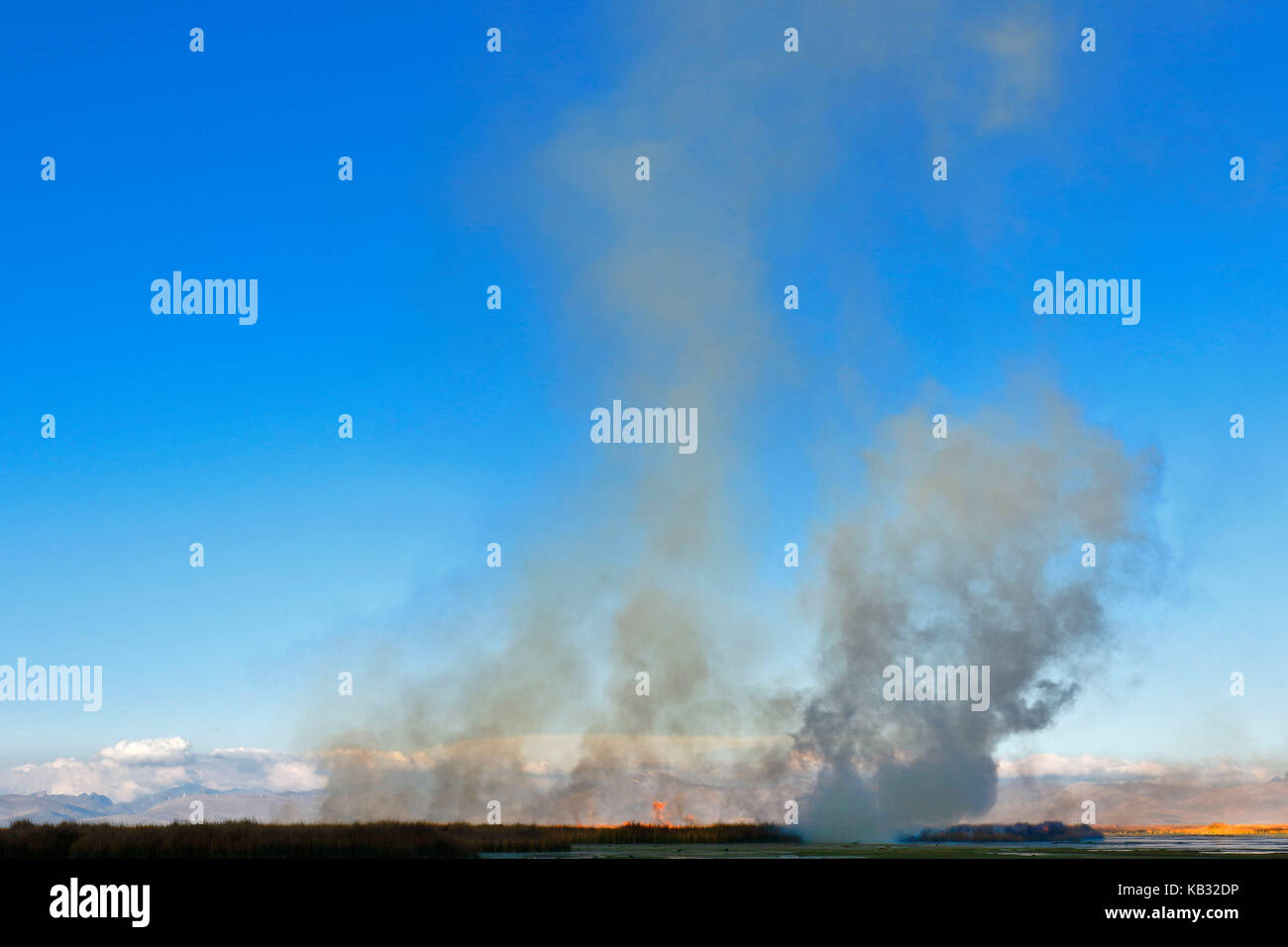 Fire of vegetation inside the lake Junin in Ondores Stock Photo - Alamy