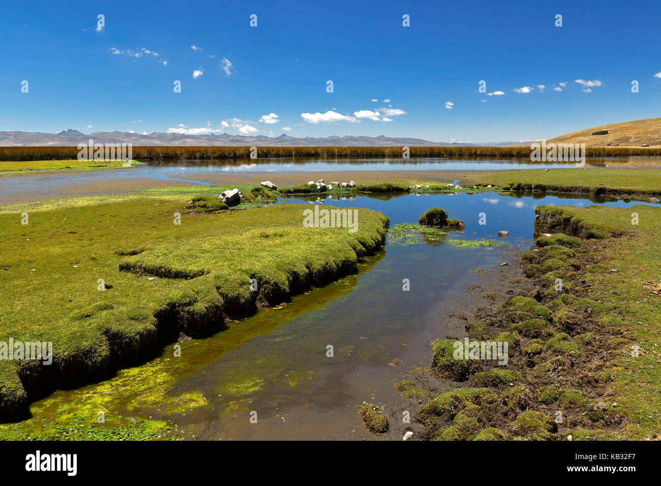 Shores of Lake Junin Stock Photo - Alamy