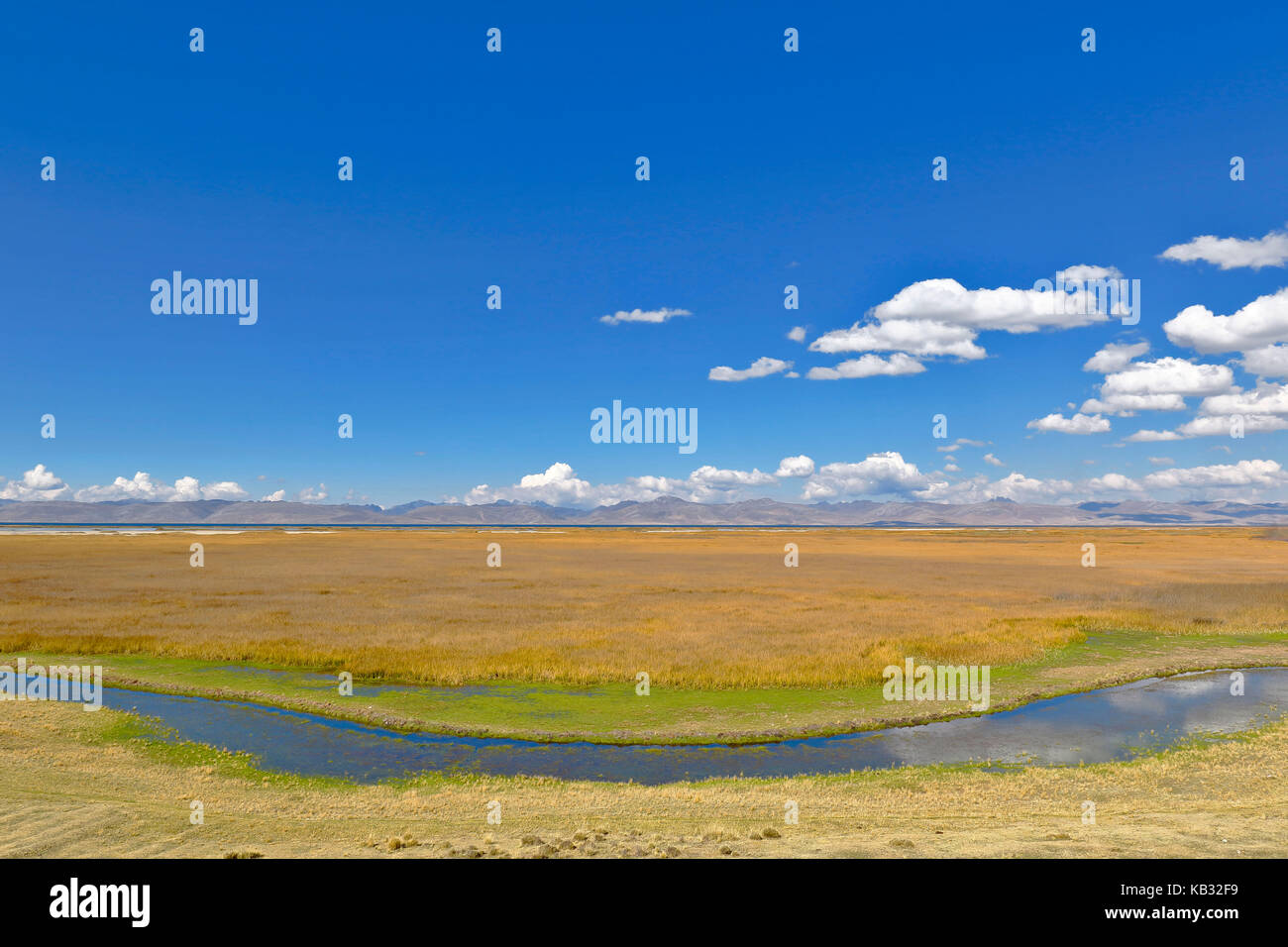 Shores of Lake Junin Stock Photo - Alamy