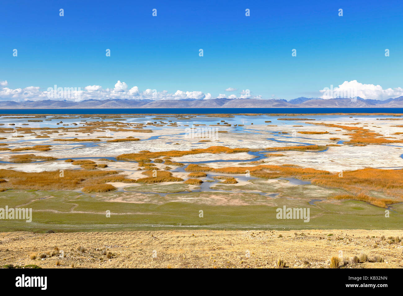 Shores of Lake Junin Stock Photo - Alamy