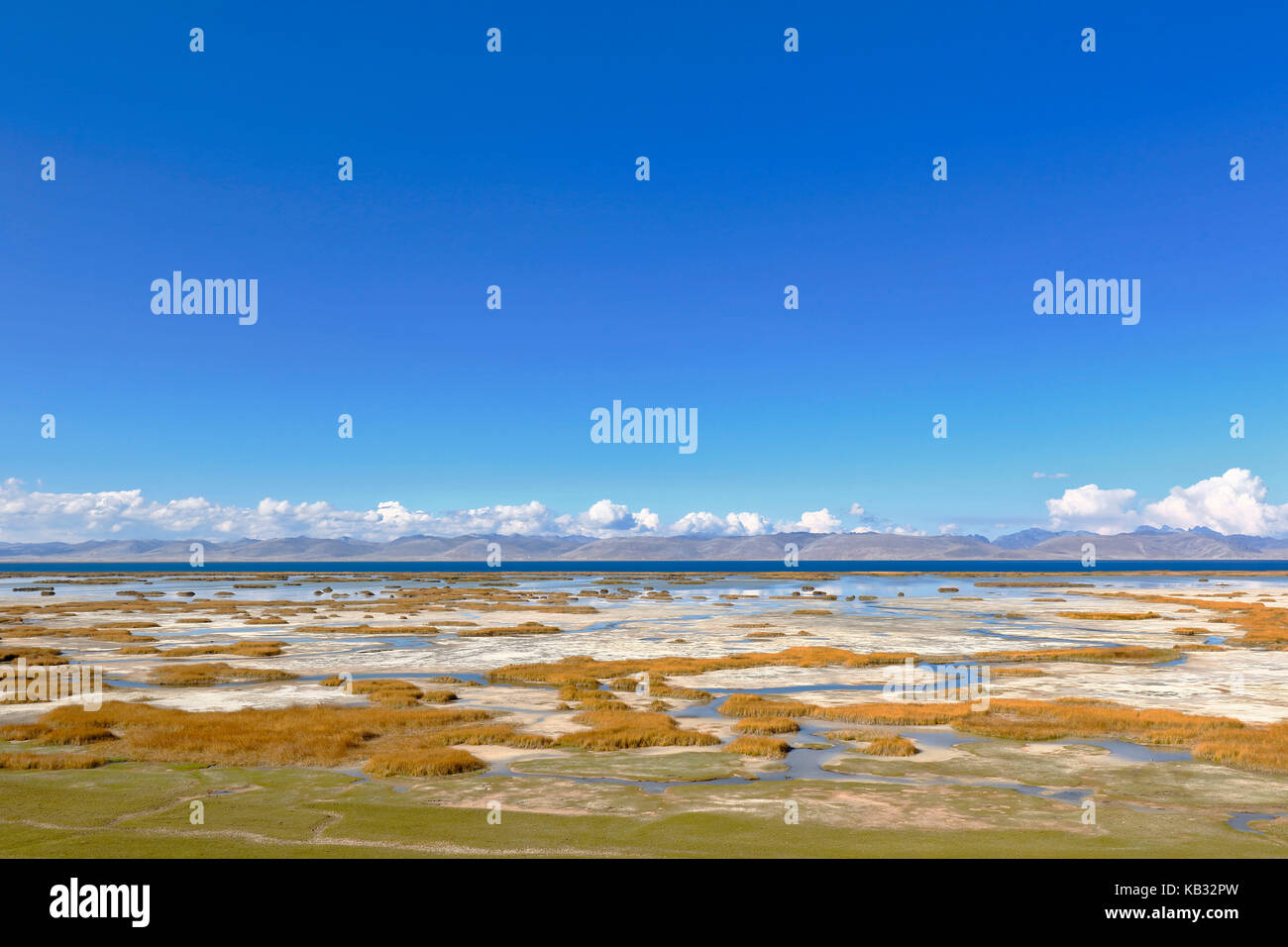 Shores of Lake Junin Stock Photo - Alamy