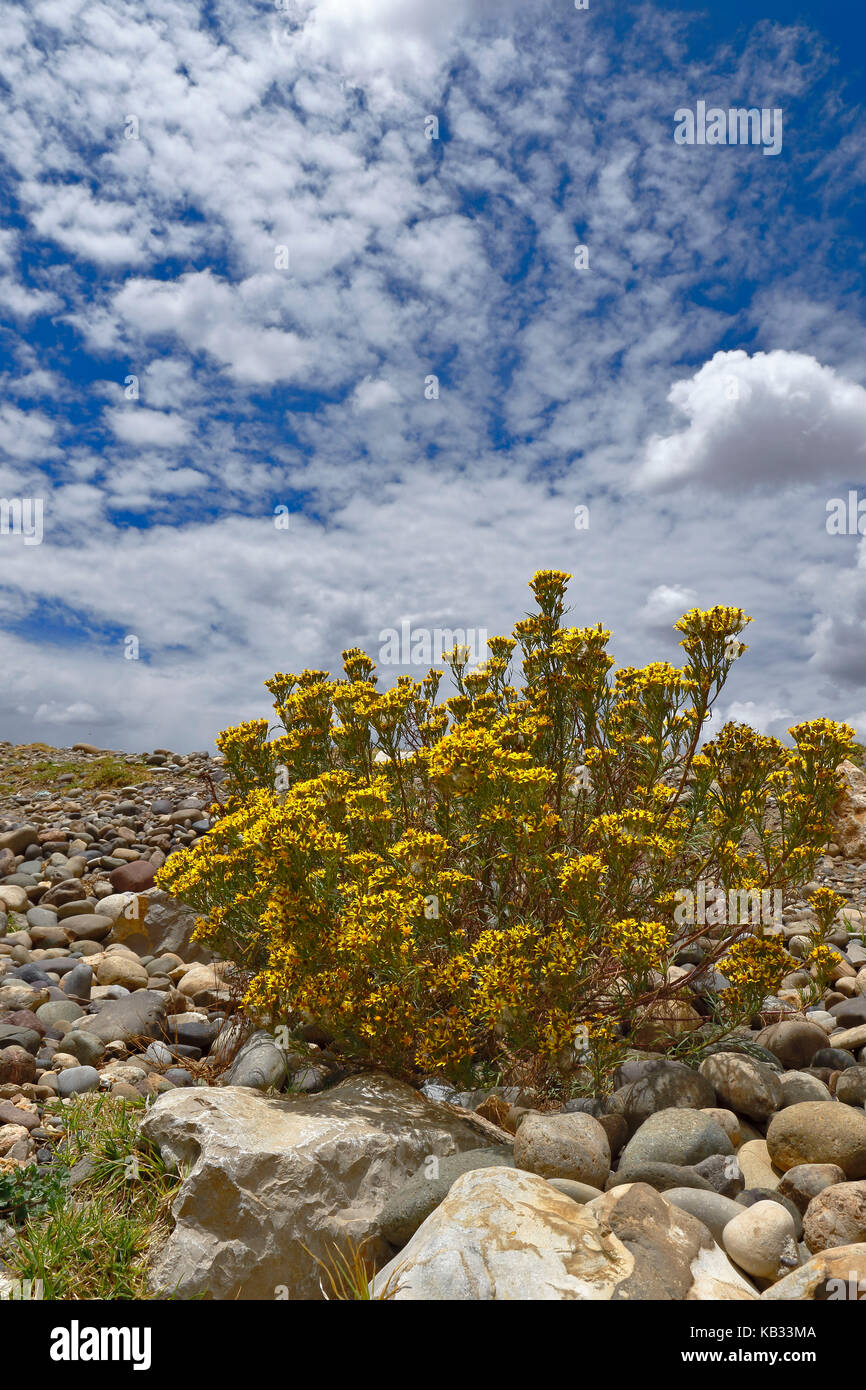 Flush to the ground hi-res stock photography and images - Alamy