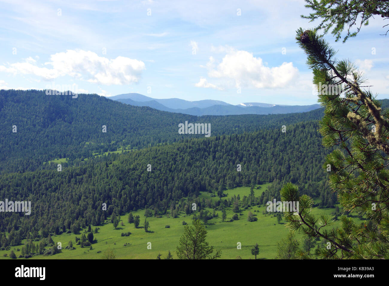 Year mountain landscape Stock Photo - Alamy