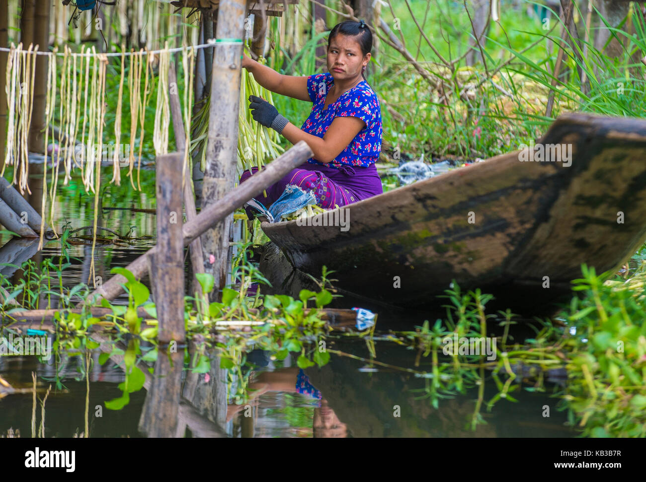 Inle Lake Floating Garden Stock Photos & Inle Lake Floating Garden ...