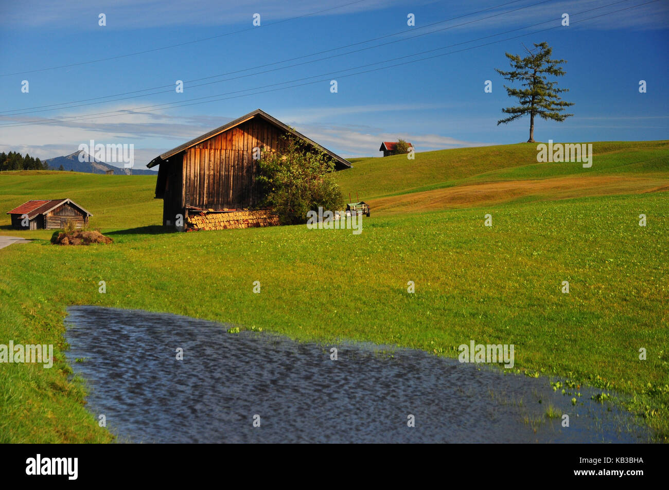 Hummocky meadow hi-res stock photography and images - Alamy