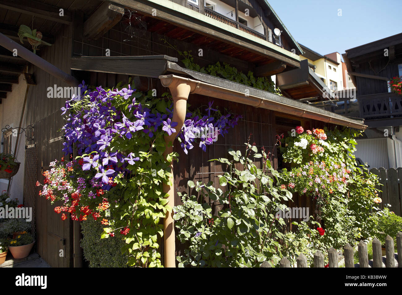 Clematis house hi-res stock photography and images - Alamy