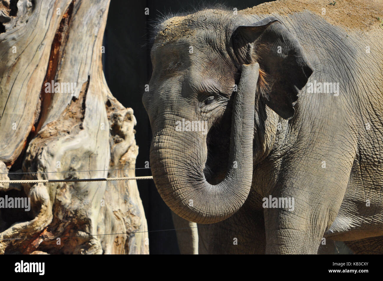 Zoological garden munich hi-res stock photography and images - Alamy