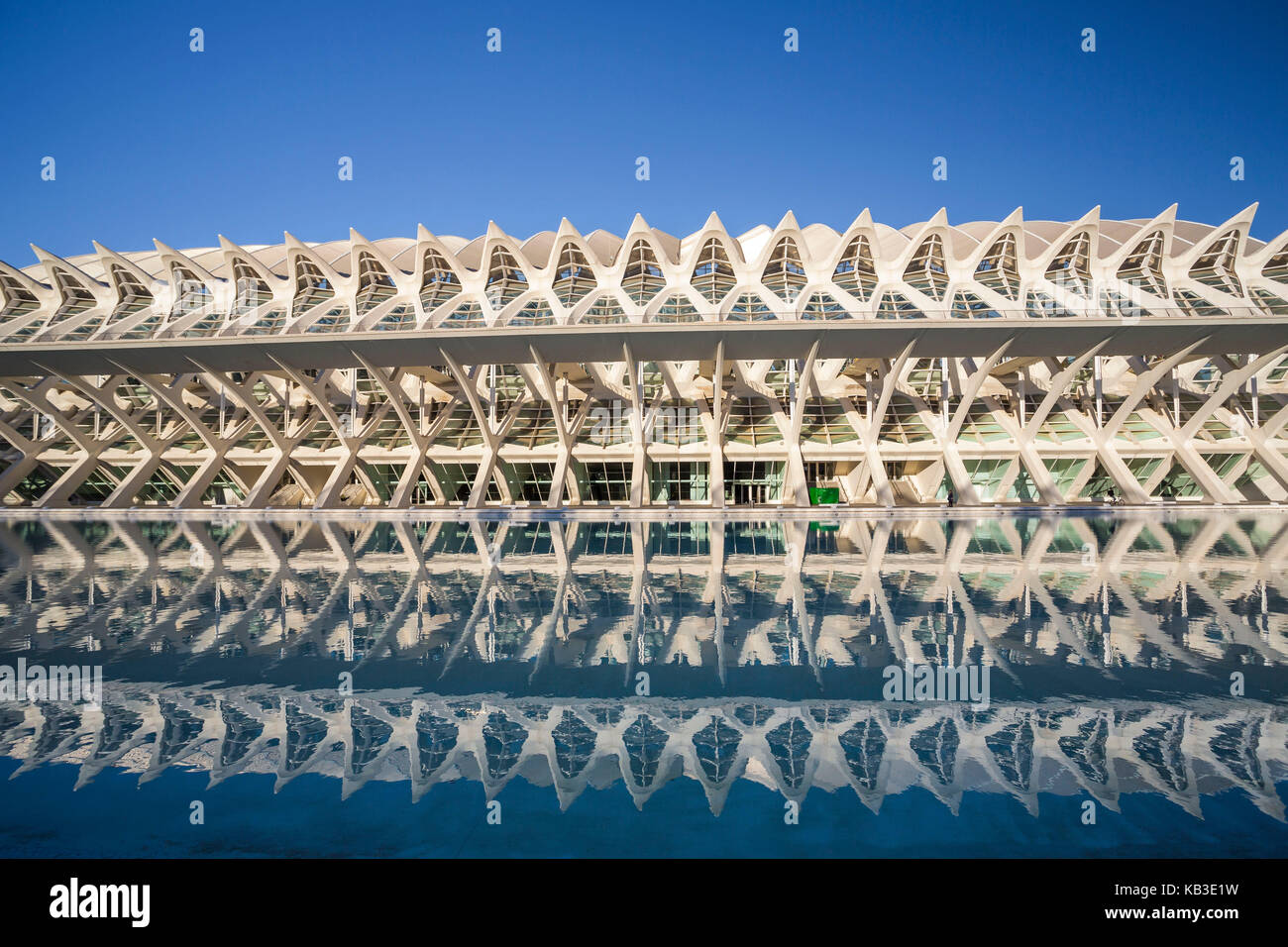 Santiago calatrava valencia architecture hi-res stock photography and ...