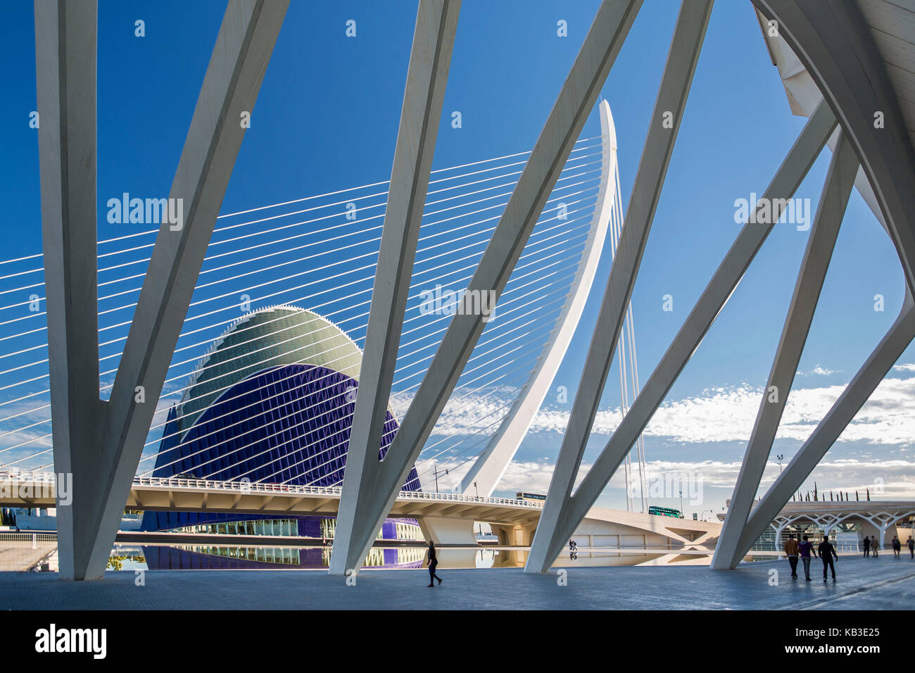 Santiago calatrava valencia architecture hi-res stock photography and ...