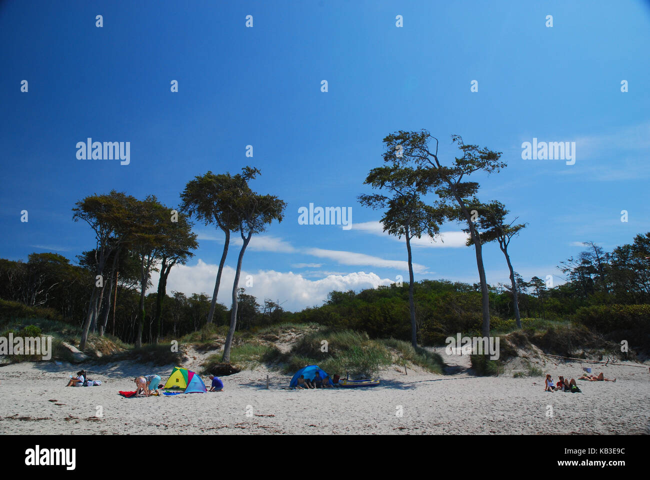 Germany, Mecklenburg-West Pomerania, Fischland-Darß-Zingst, the Baltic ...