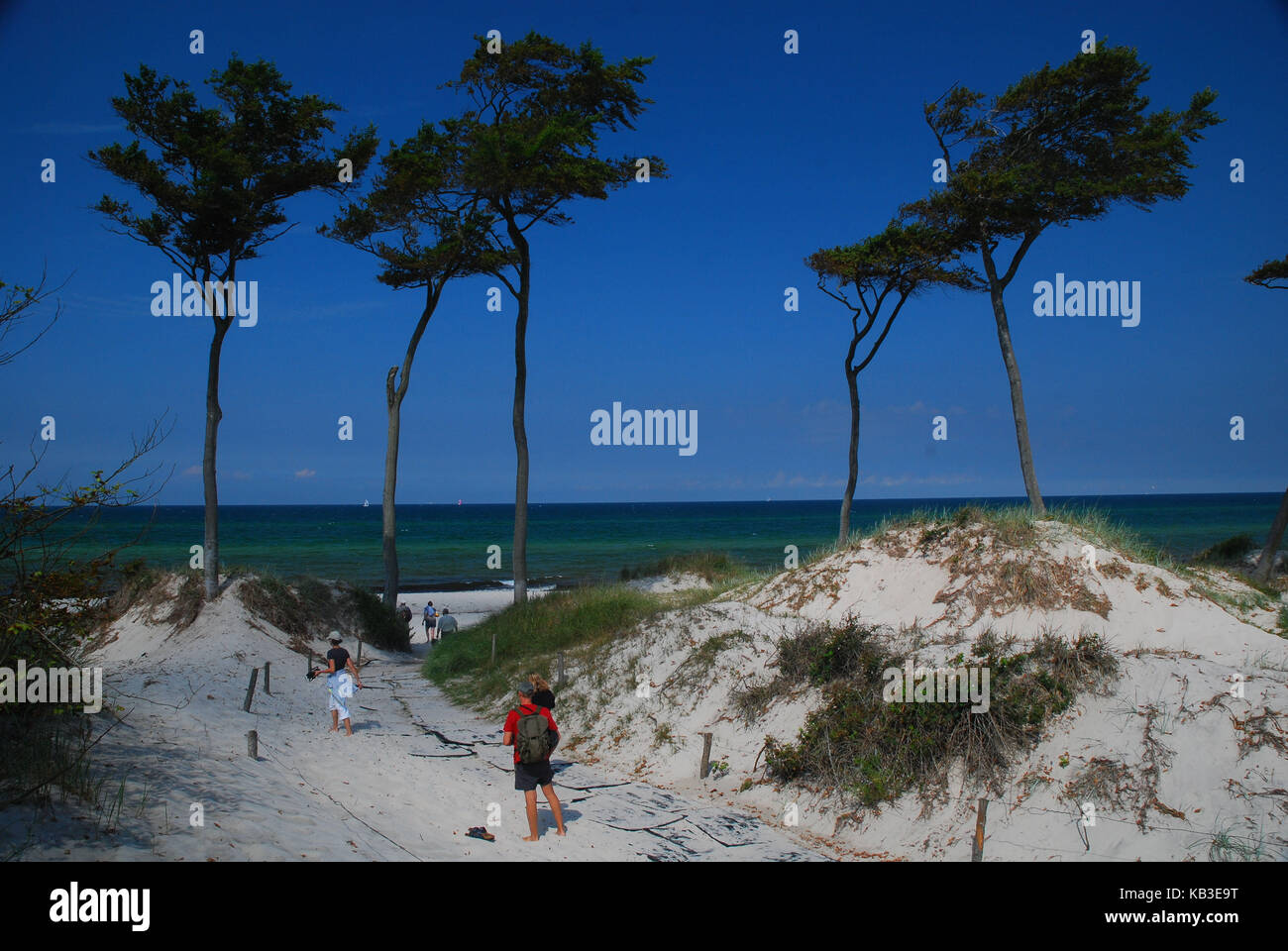 Germany, Mecklenburg-West Pomerania, Fischland-Darß-Zingst, the Baltic ...
