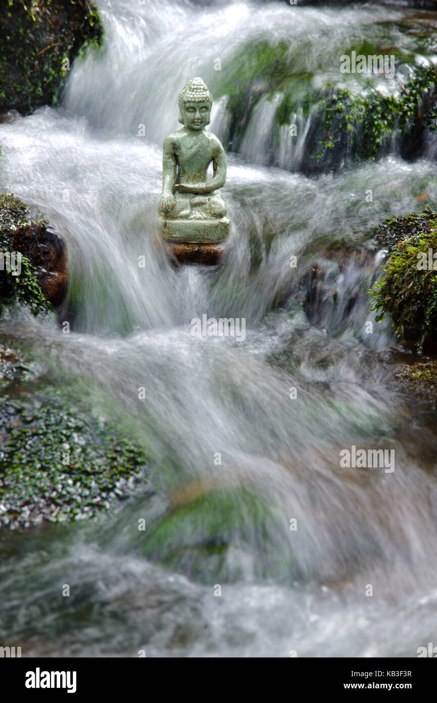 Buddha figure in the element water Stock Photo - Alamy