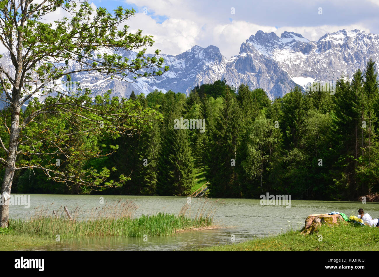 Germany, Bavaria, Werdenfels, Gerold, Geroldsee, marsh meadow ...