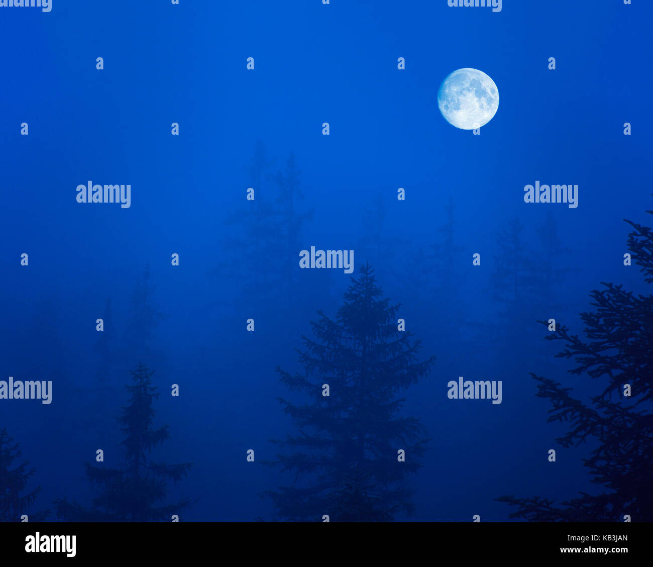 Forest mood with fog and full moon, (M Stock Photo - Alamy