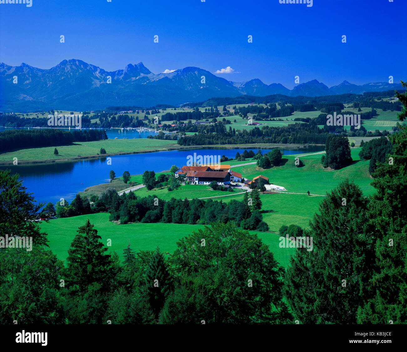 Lake forggensee and the alpine foothills hi-res stock photography and ...