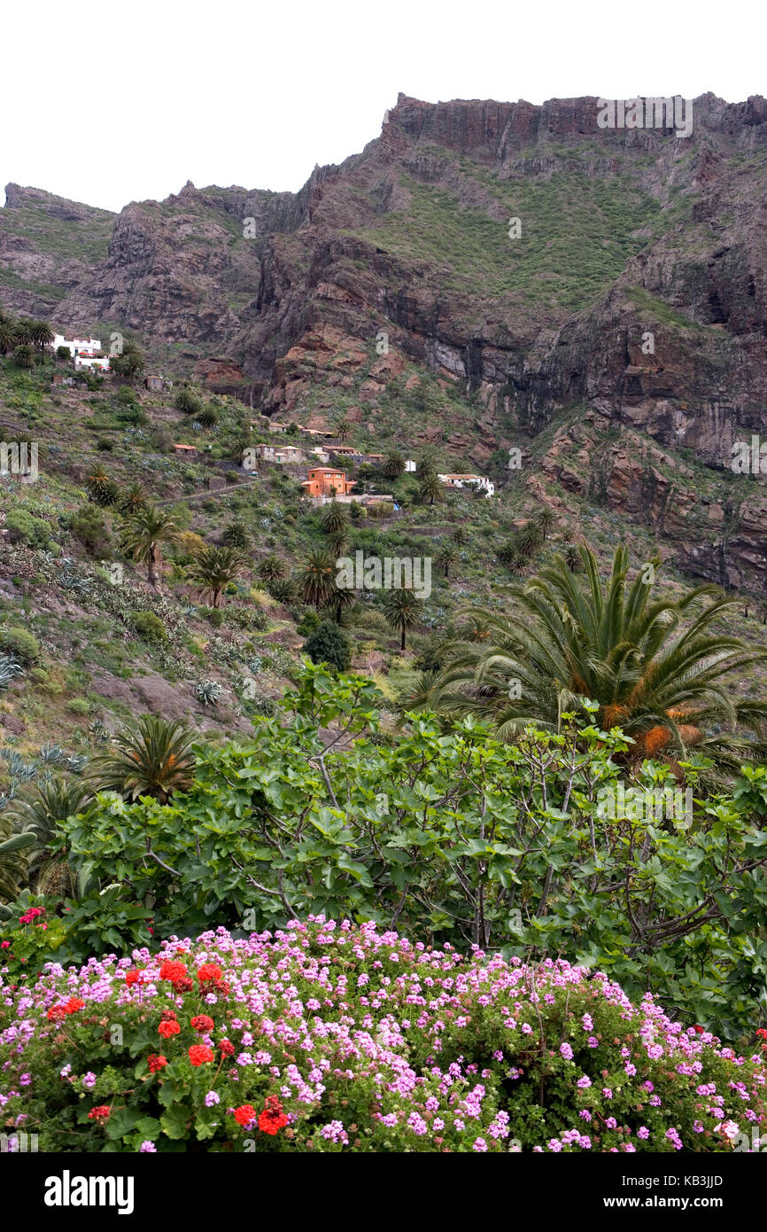 Masca, mountain village, Teno mountains Stock Photo - Alamy