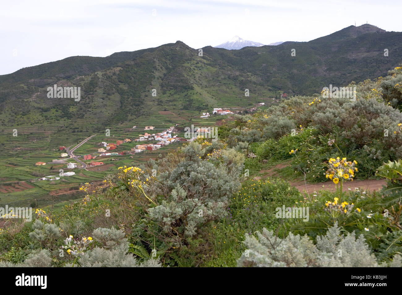 Teno mountains, snowcapped Teide, scenery Stock Photo - Alamy