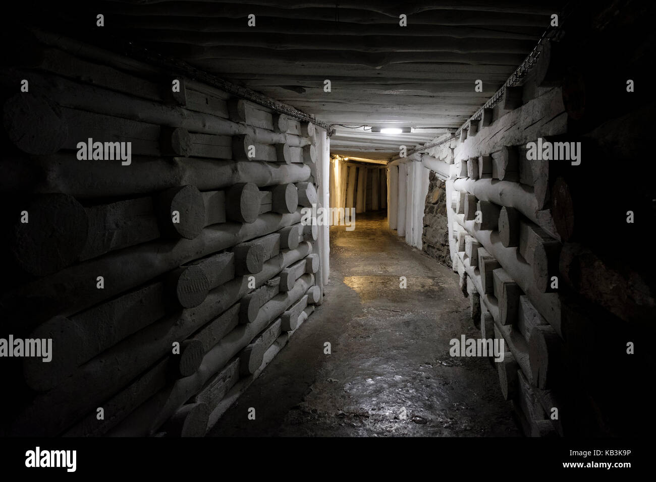 Wieliczka Salt Mine, Poland, Europe Stock Photo - Alamy