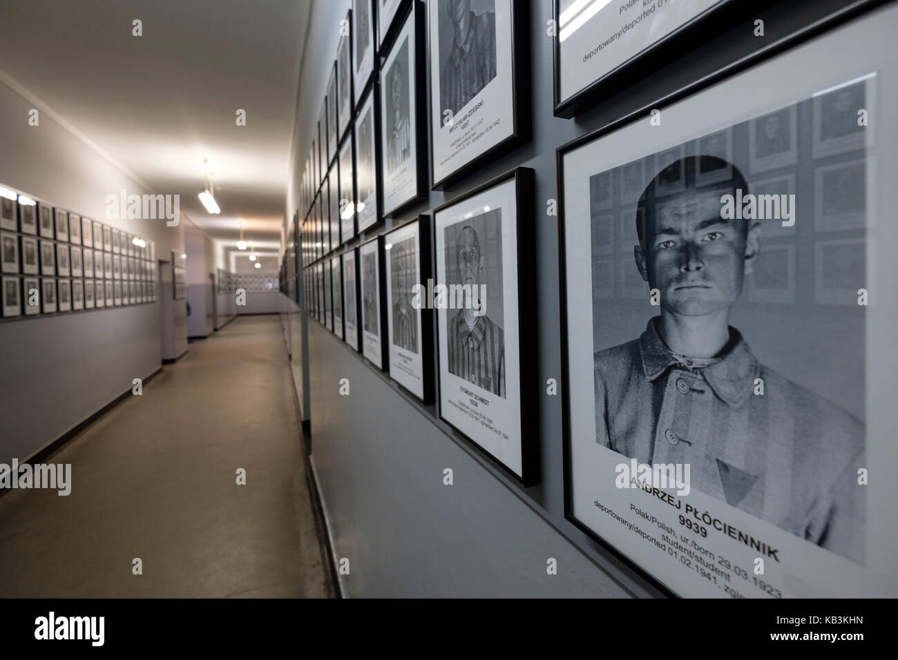 Portraits of prisoners at the Auschwitz WWII Nazi concentration camp ...