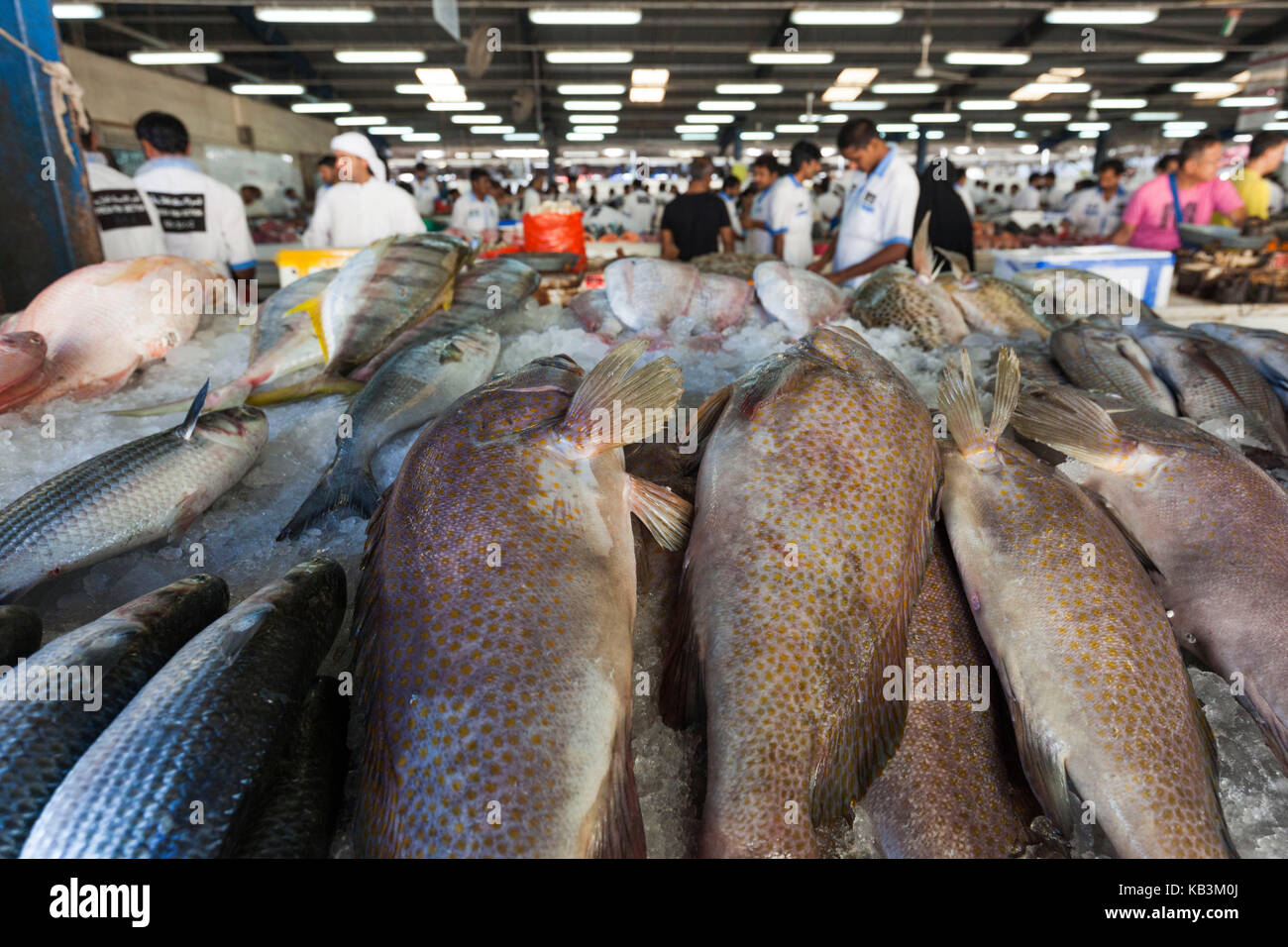 UAE, Dubai, Deira, Dubai Fish Market Stock Photo - Alamy