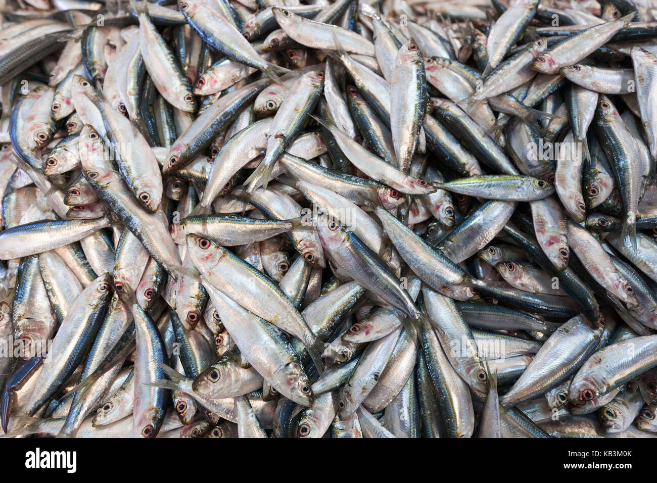 UAE, Dubai, Deira, Dubai Fish Market Stock Photo - Alamy