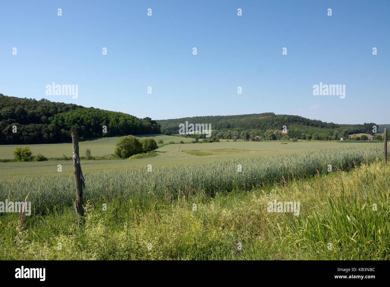 Landscape in the Hungarian region of Somogy Stock Photo - Alamy