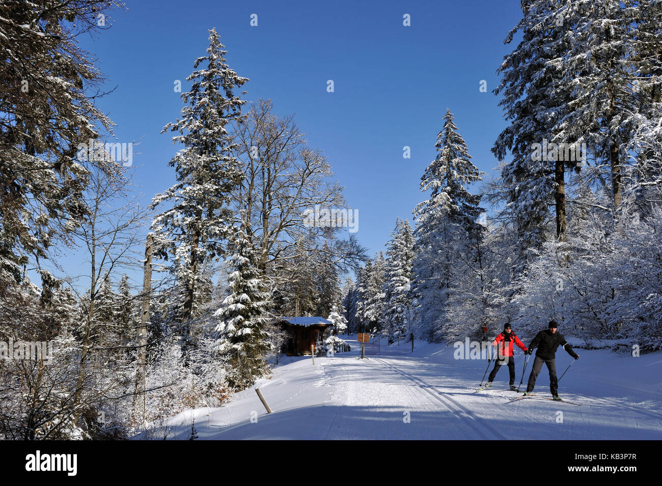 France, Haut Rhin, Hautes Vosges, The ski resort of the Lac Blanc, Col ...