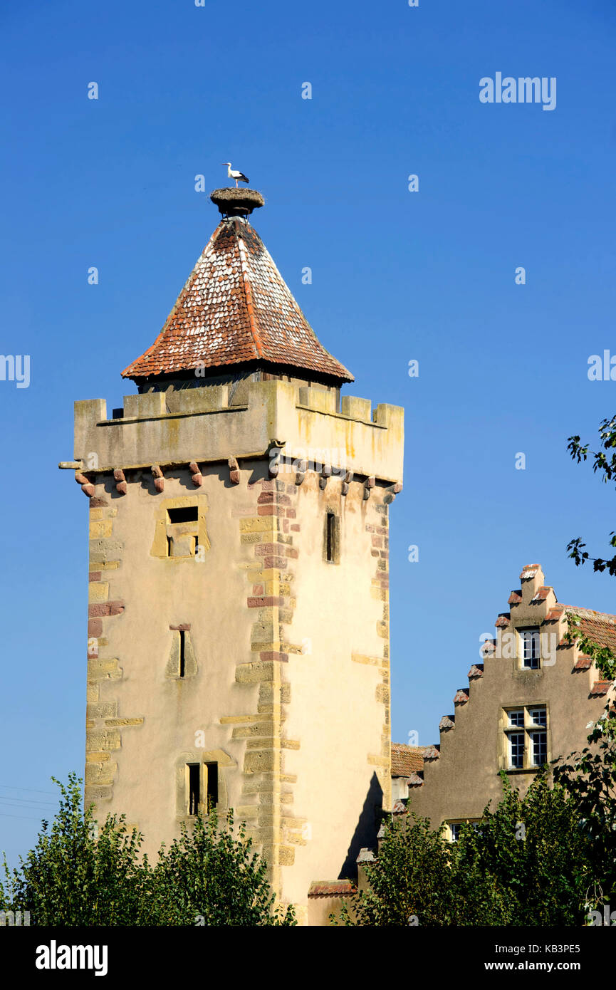 France, Haut Rhin, Alsace Wine Road, Rouffach village, the witch tower ...
