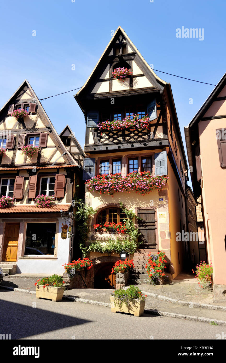 France, Bas Rhin, Alsace Wine Road, Dambach la ville, Market square ...