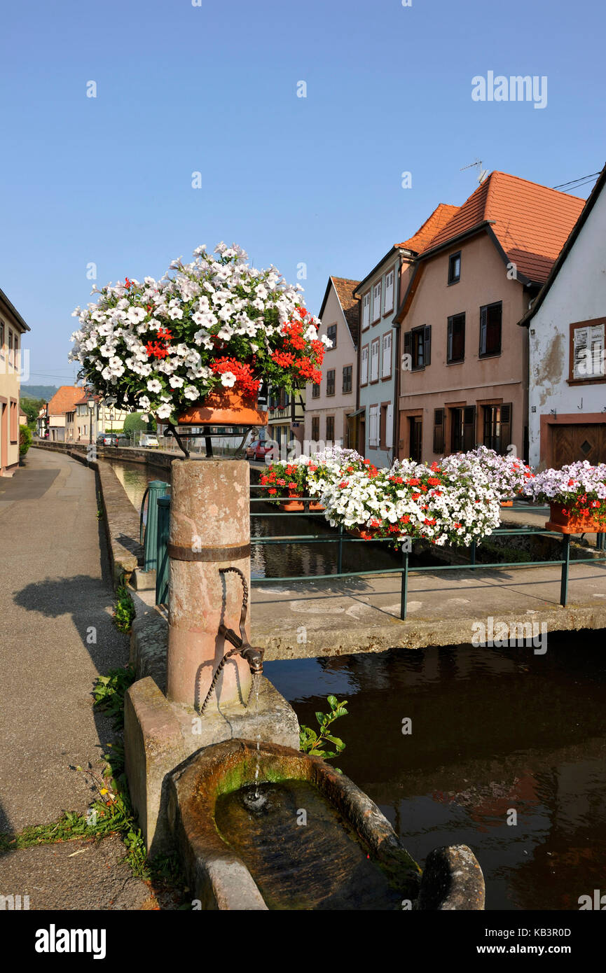 Bruch hi-res stock photography and images - Alamy