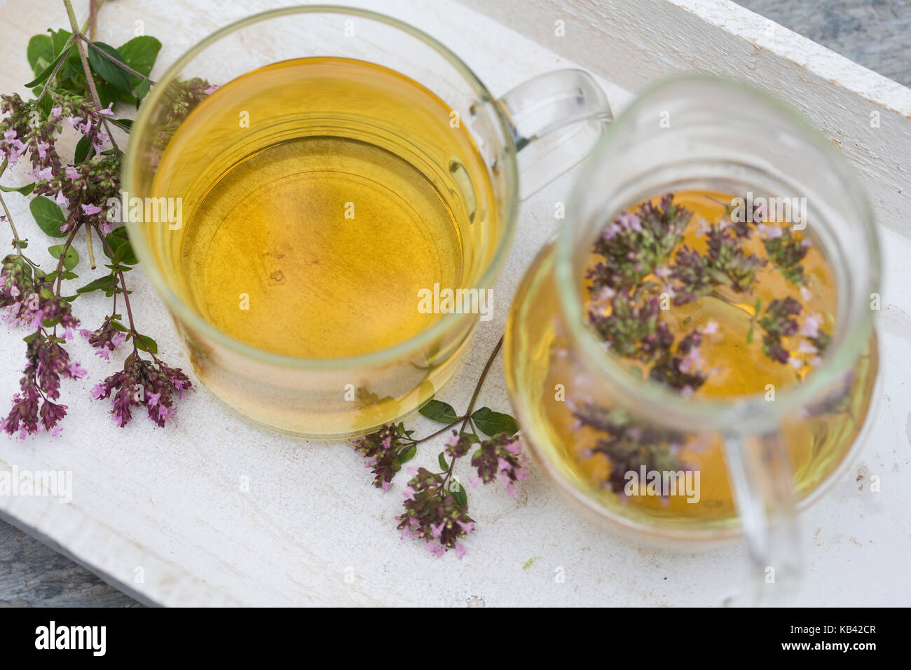 Oreganotee hi-res stock photography and images - Alamy