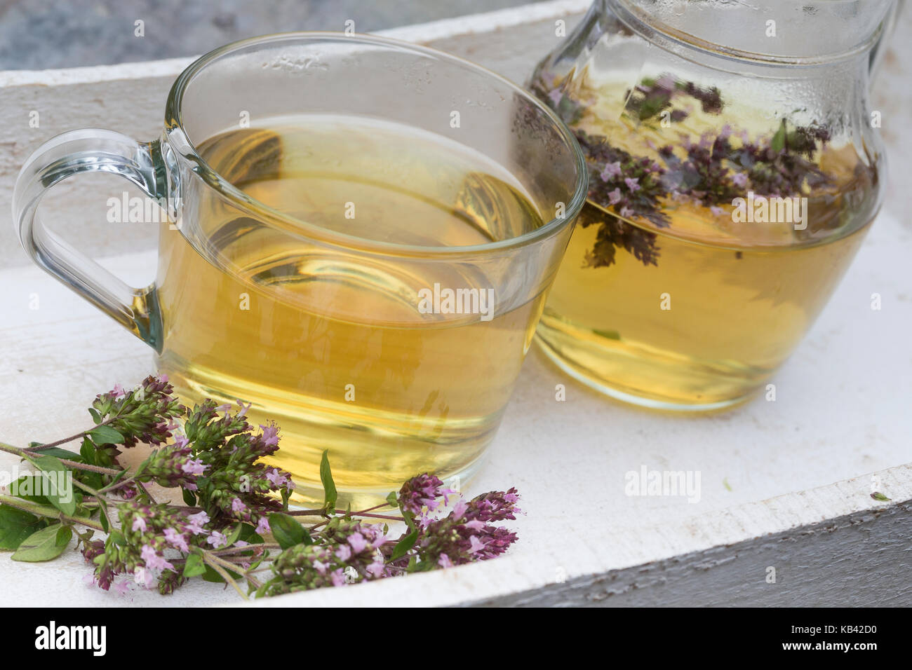 Oreganotee hi-res stock photography and images - Alamy