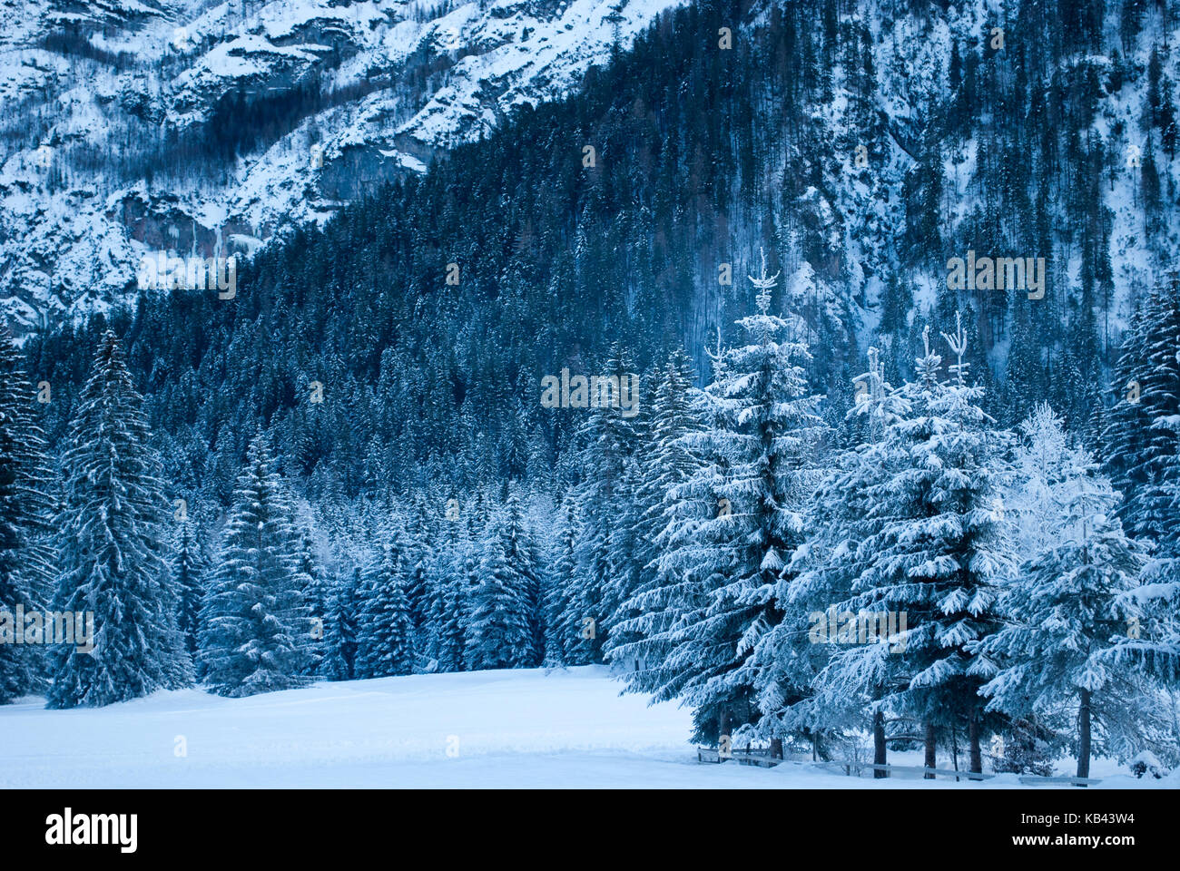 winter at high altitude Stock Photo - Alamy