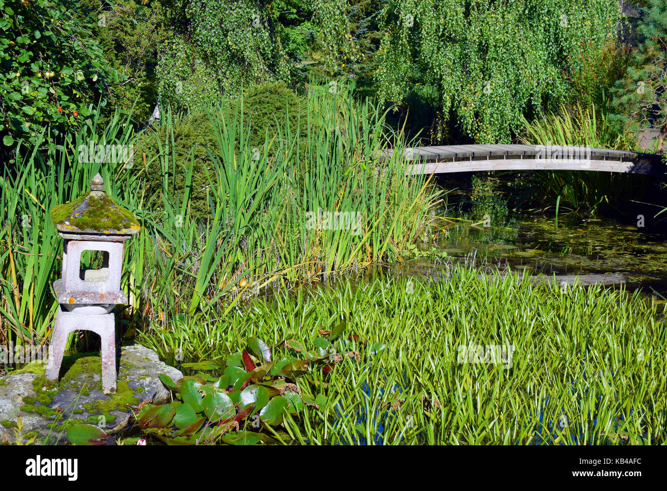 Bridge Small Pond Garden High Resolution Stock Photography and Images ...