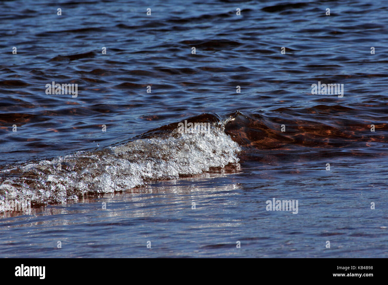 Breaking the surf hi-res stock photography and images - Alamy