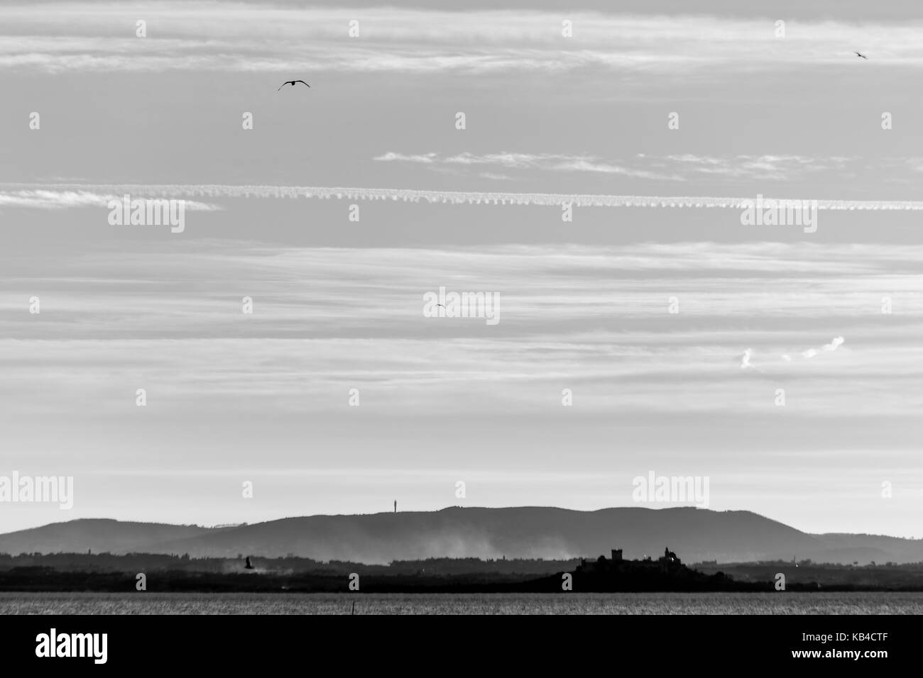 A lake at dusk, with a distant town in the mist, birds flying and ...