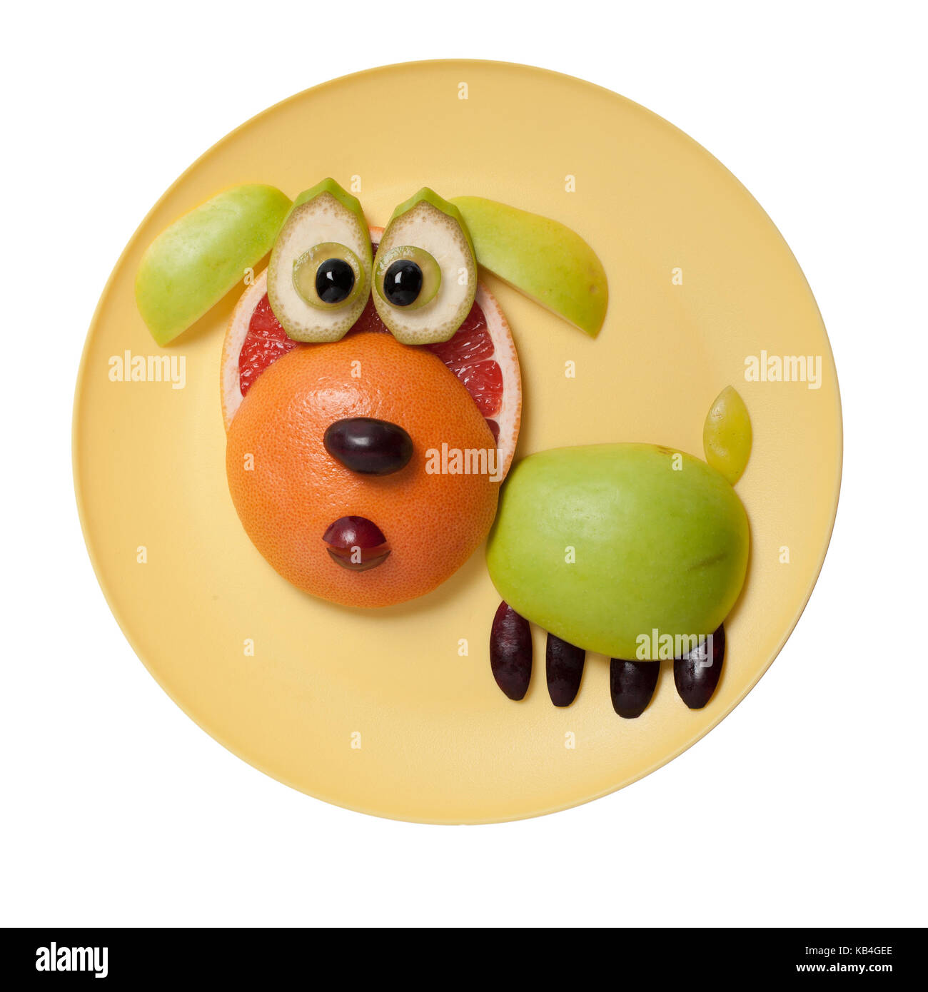 Creative pet and fruit hi-res stock photography and images - Alamy