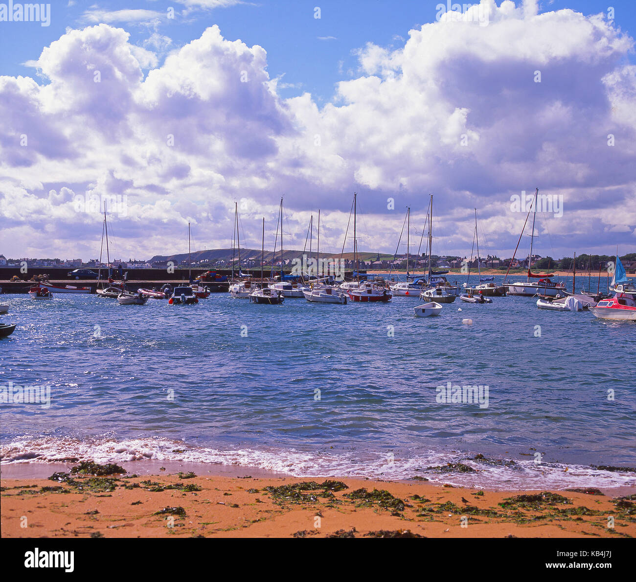 Elie beach harbour hi-res stock photography and images - Alamy