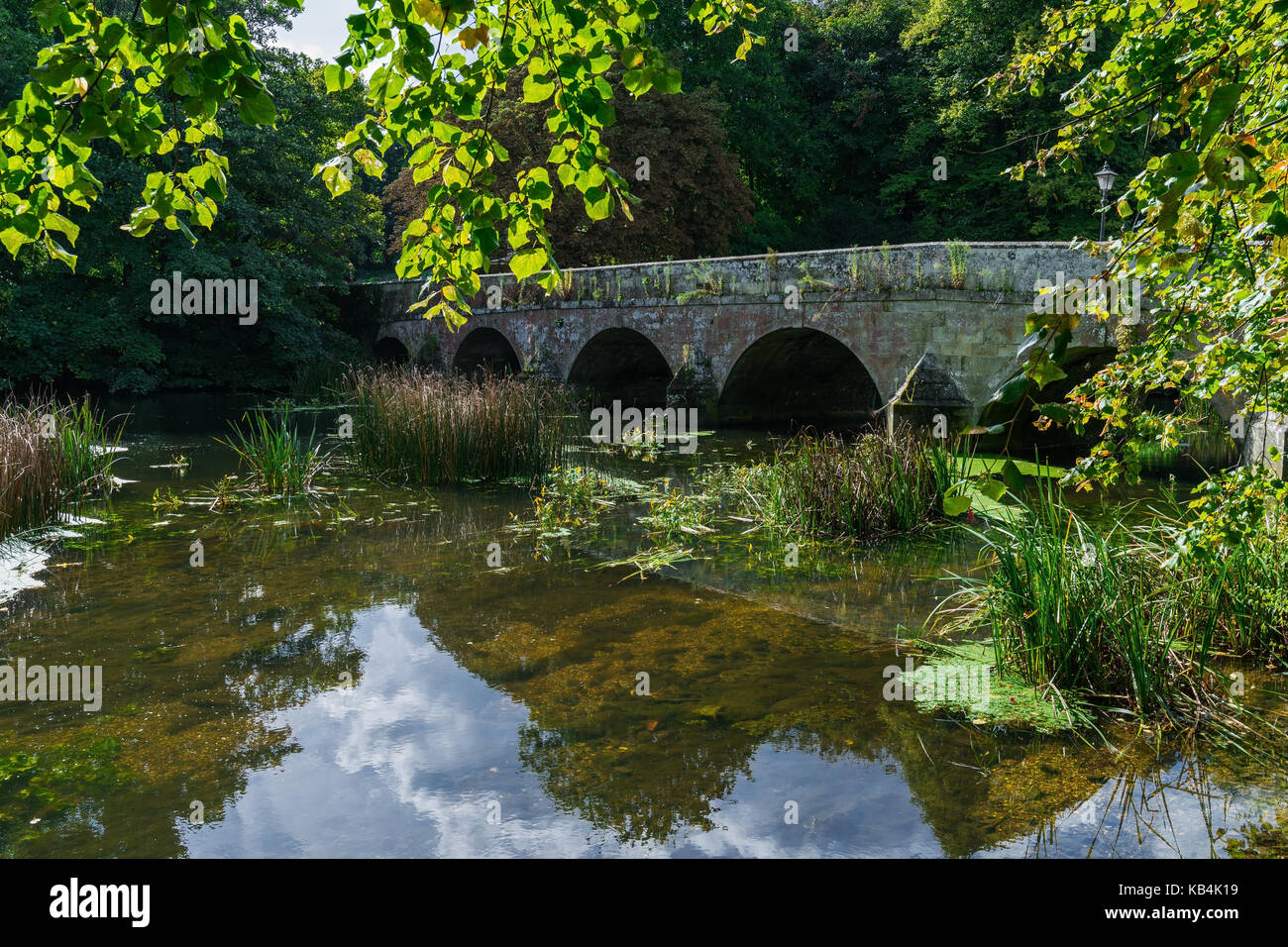 River Stour in Blandford Stock Photo - Alamy