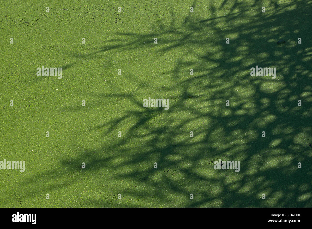Lea river canal in east London,England,UK Stock Photo - Alamy