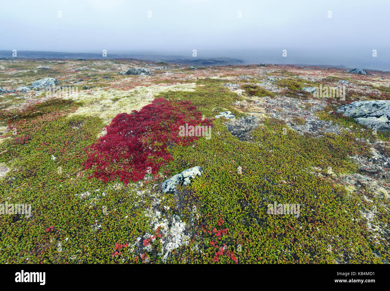Norwegian national parks hi-res stock photography and images - Alamy