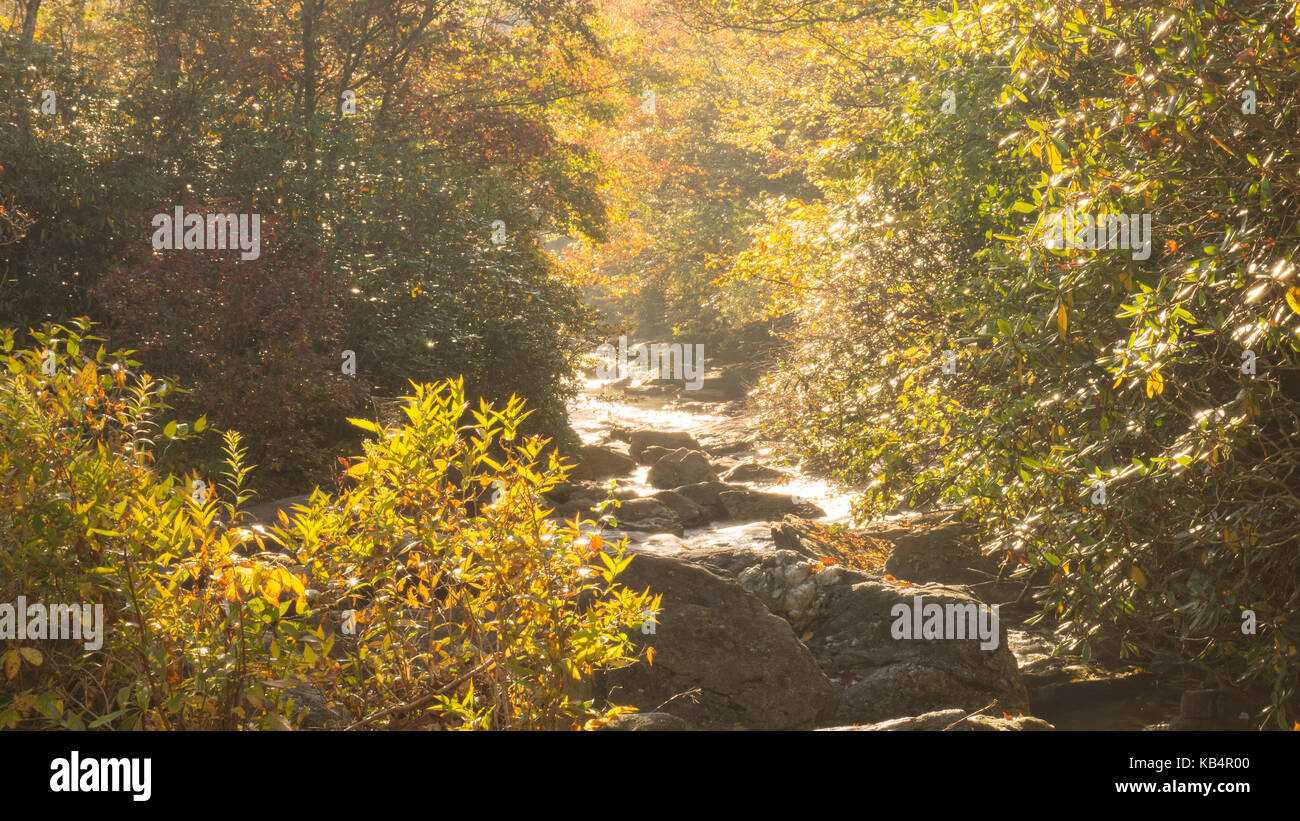 A view of a cascading stream in the Blue Ridge Mountains of Western ...
