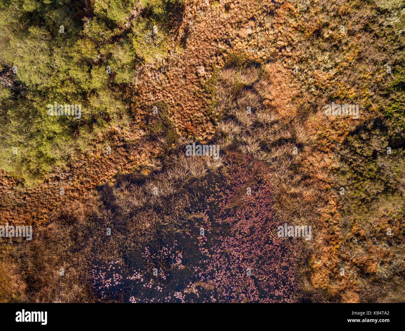 An aerial view of a dam in Zimbabwe's Nyanga National Park Stock Photo ...