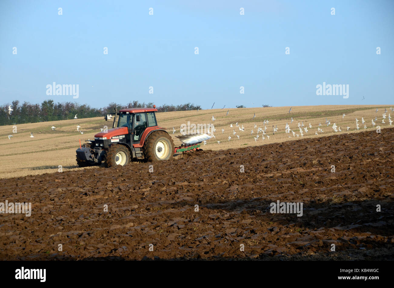 Farmer plowing a field hi-res stock photography and images - Alamy