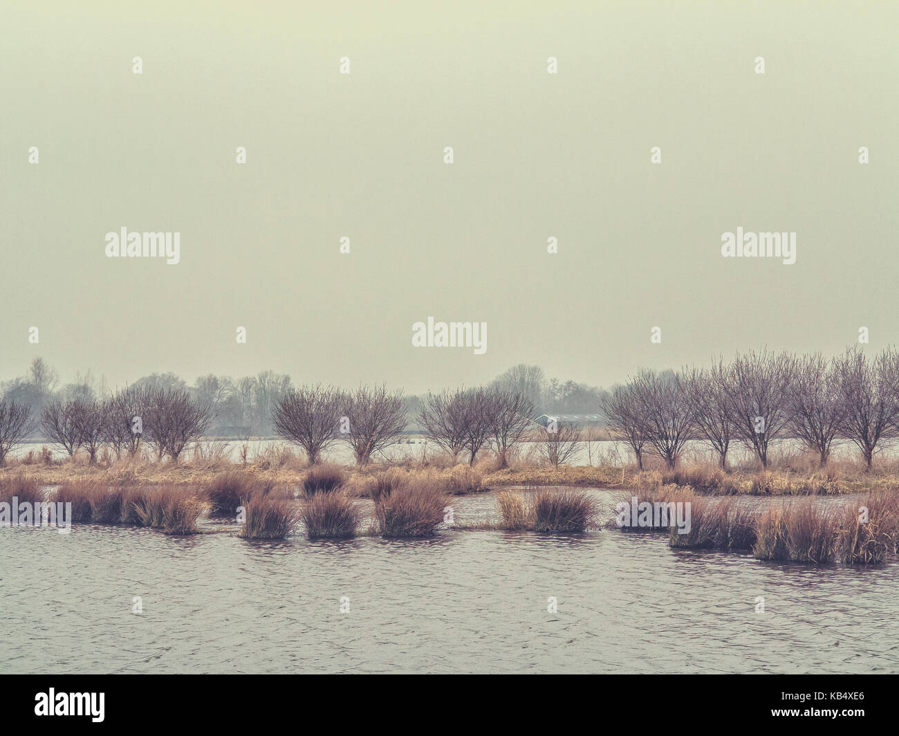 Winter landscape with water and reed Stock Photo - Alamy