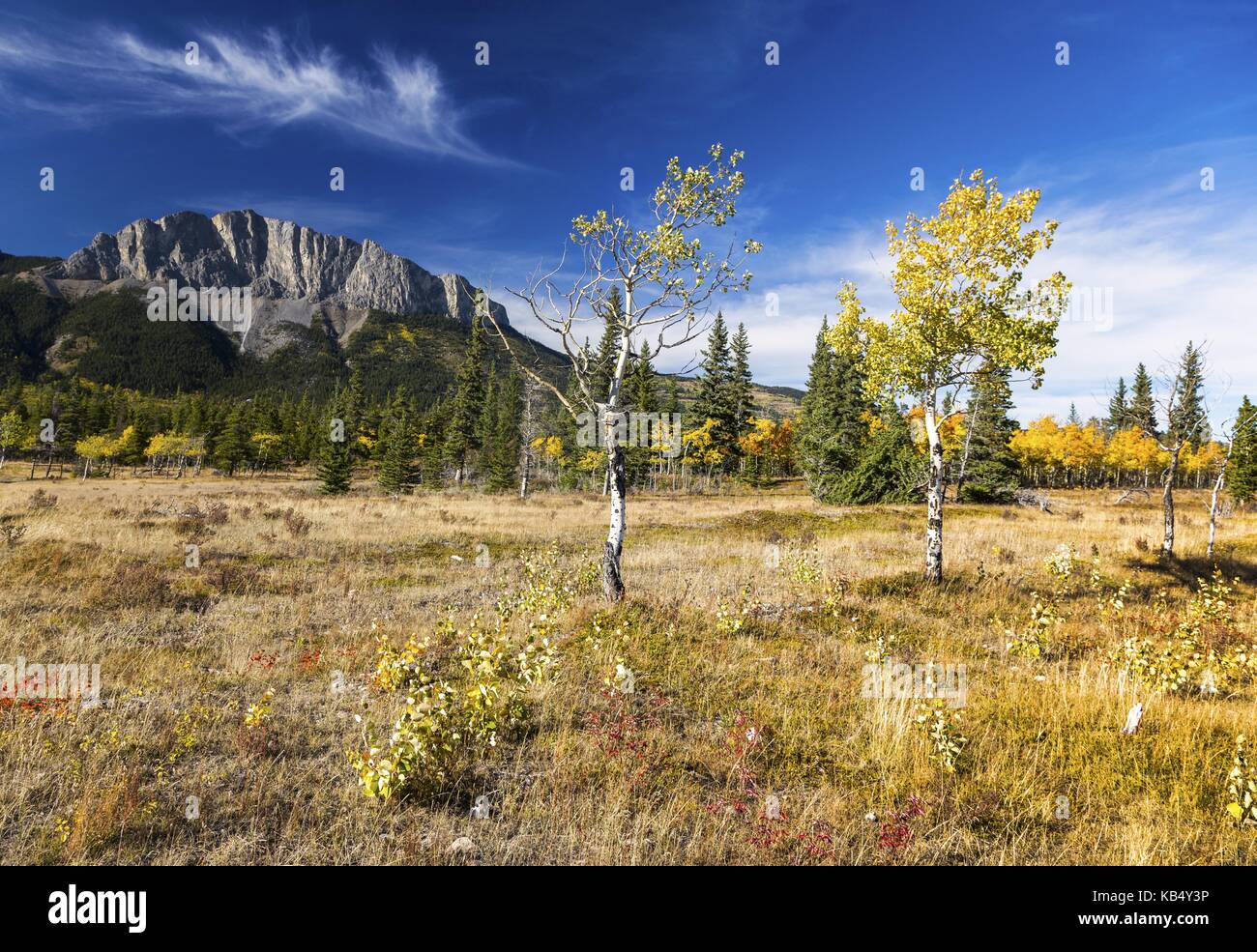 Mountain prairies hi-res stock photography and images - Alamy