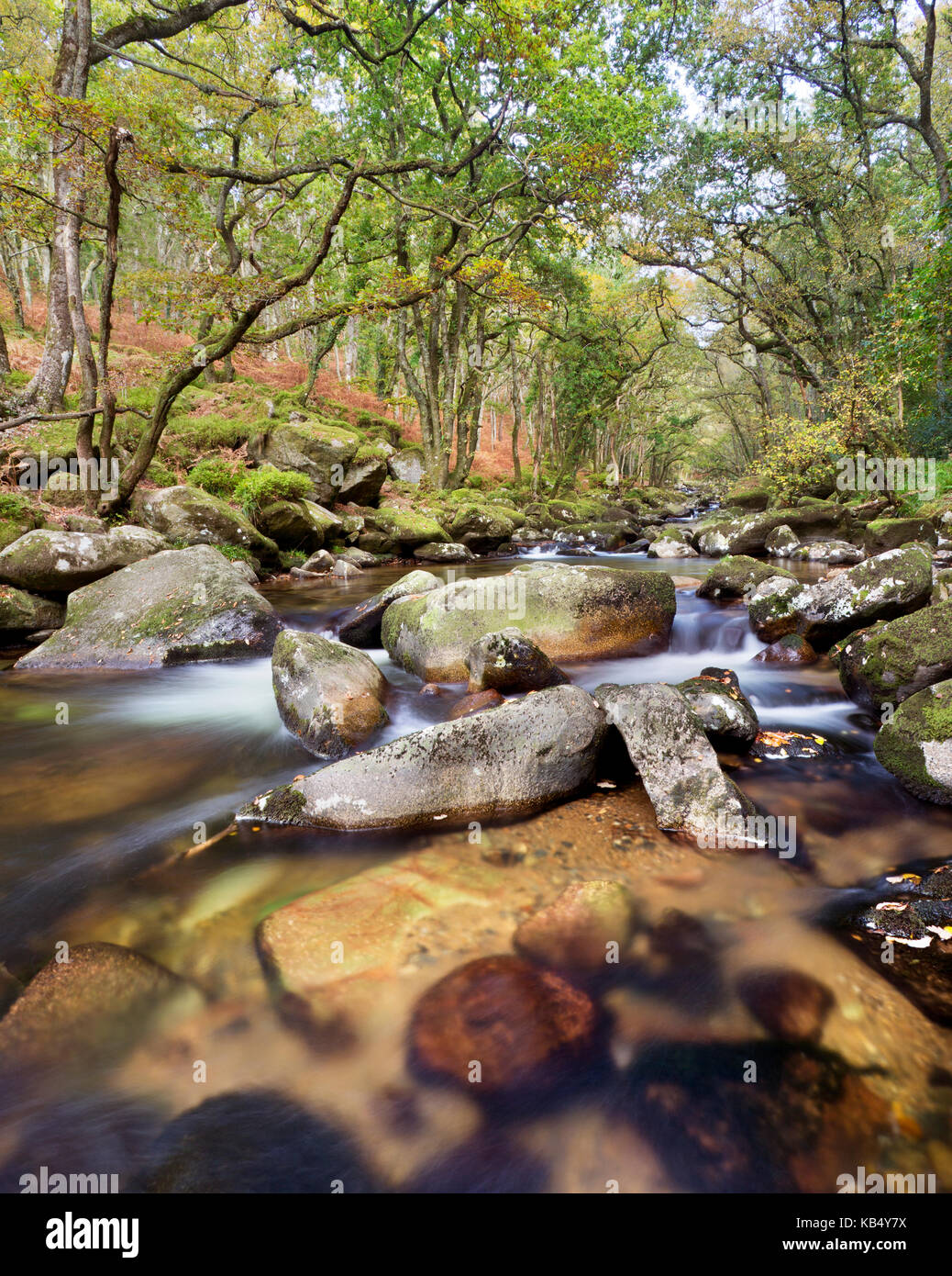 The River Plym flowing through Dewerstone Woods in early Autumn with ...